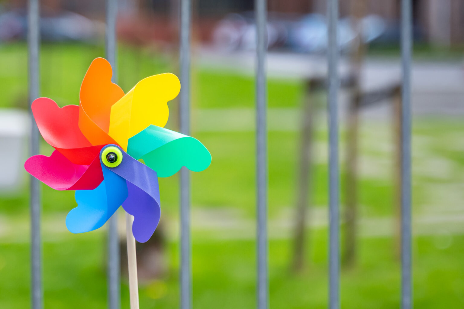 Our Key Documents - NGHA