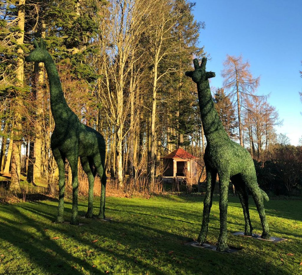 ARCHIE animals go on safari at Castle Fraser - Archie