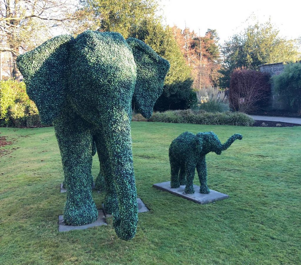 ARCHIE animals go on safari at Castle Fraser - Archie