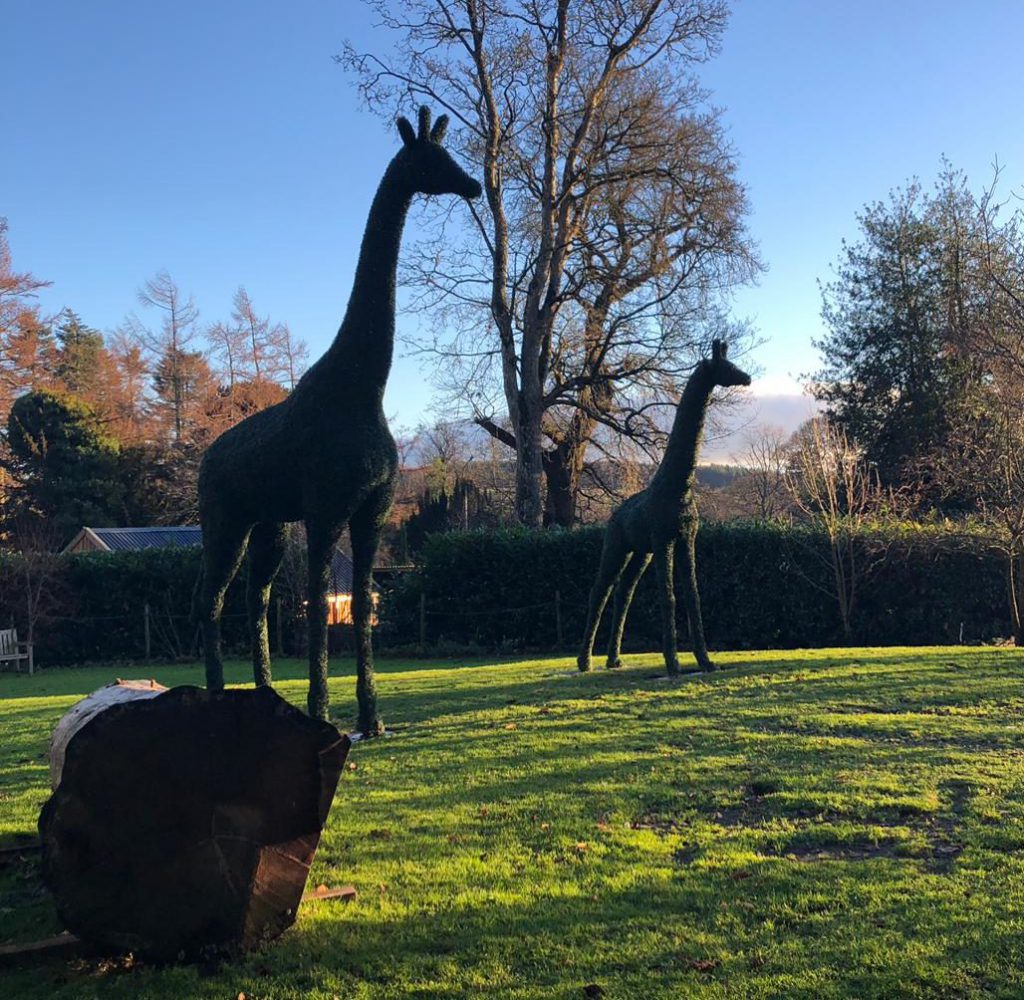 ARCHIE animals go on safari at Castle Fraser - Archie