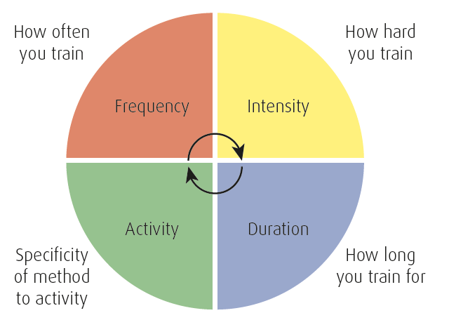 Adapting Performance Development Plans - Bright Red Digital Zone