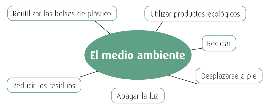 Environment – El medio ambiente - Bright Red Digital Zone