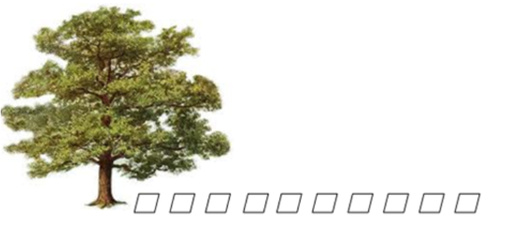 Distribution of Organisms - Bright Red Digital Zone