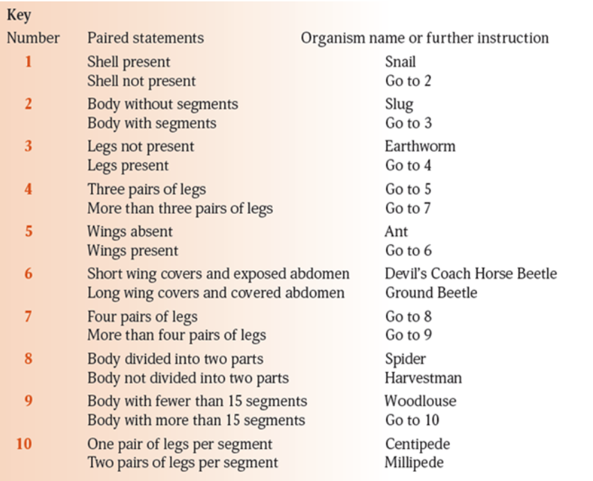 Distribution of Organisms - Bright Red Digital Zone