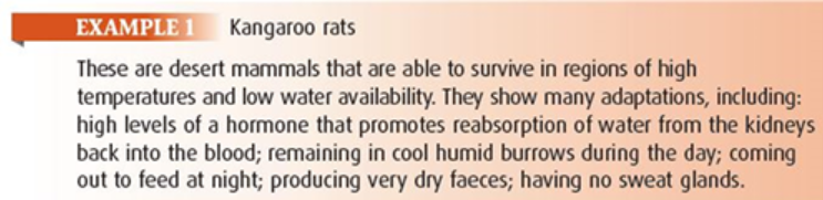 Evolution of Species - Bright Red Digital Zone