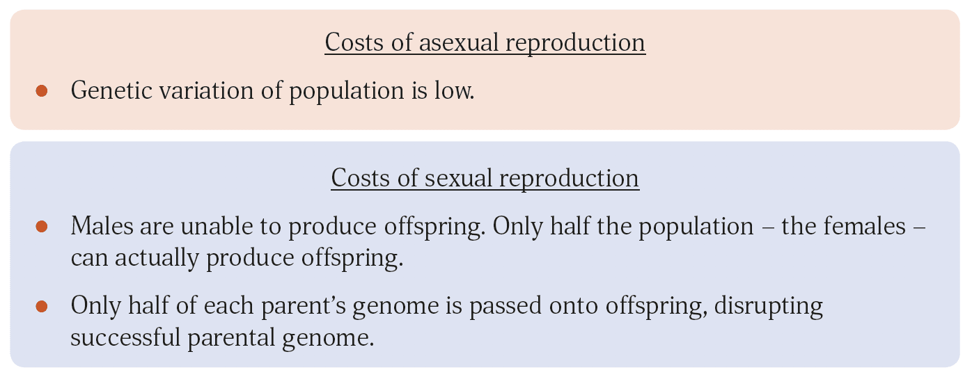 Variation and Sexual Reproduction - Bright Red Digital Zone
