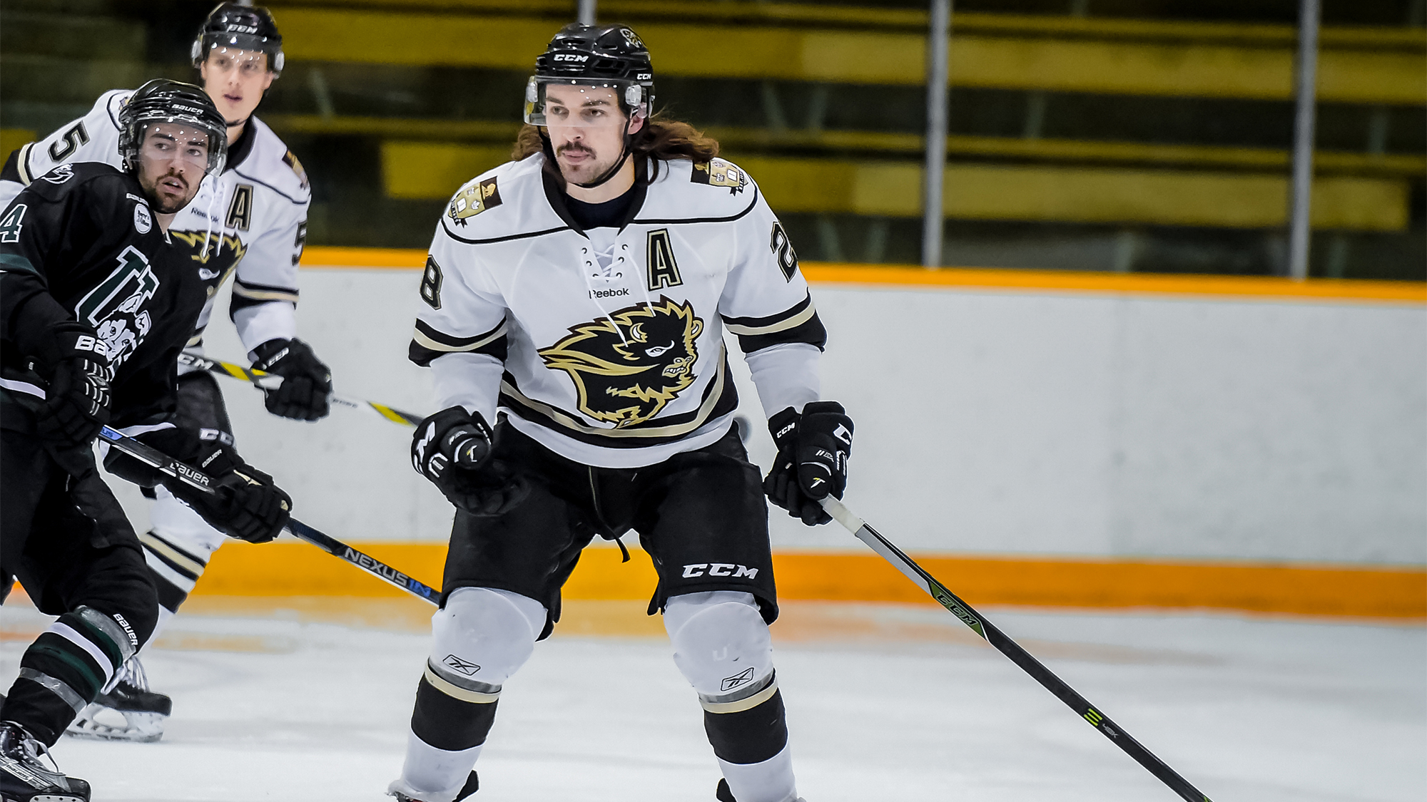 Stovin Signs with Stars - Dundee Stars