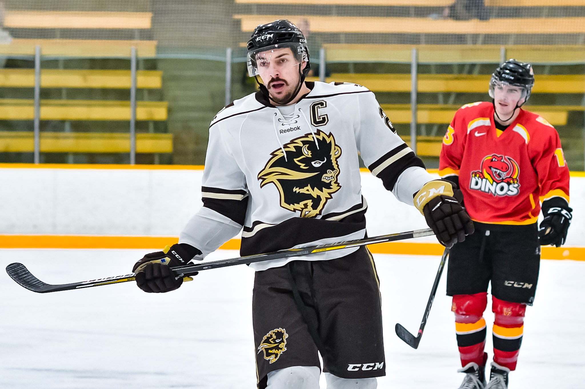 Stovin Signs with Stars - Dundee Stars