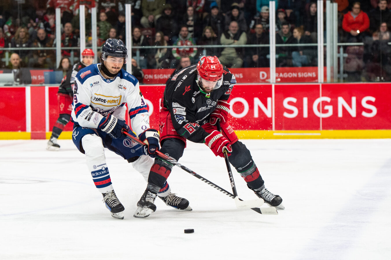 PREVIEW: STARS @ DEVILS - Dundee Stars