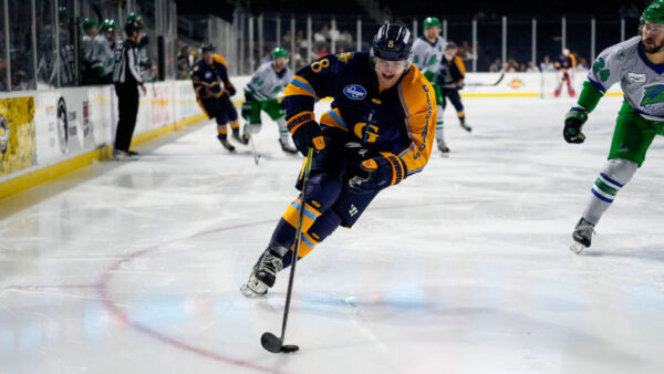 STARS DEEPEN DEFENCE WITH VILIO - Dundee Stars