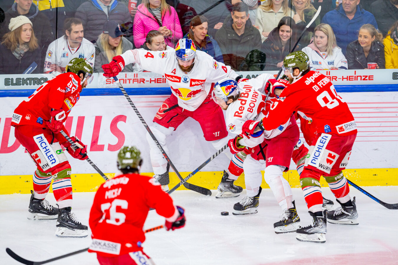 LEFEBVRE ADDS ALBERGA TO FORWARD LINES - Dundee Stars