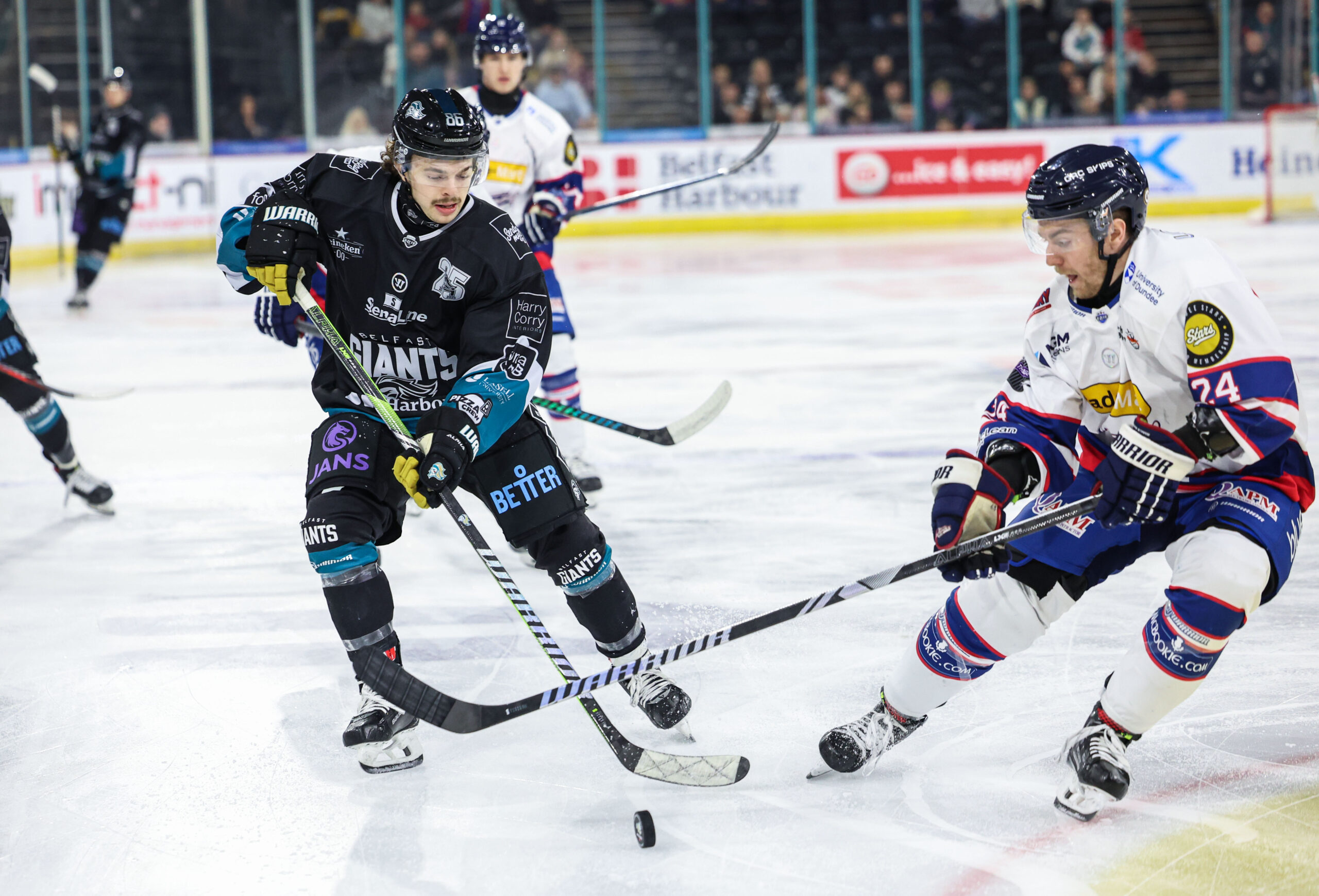 MATCH REPORT: Stars Beaten By One Goal In Belfast - Dundee Stars