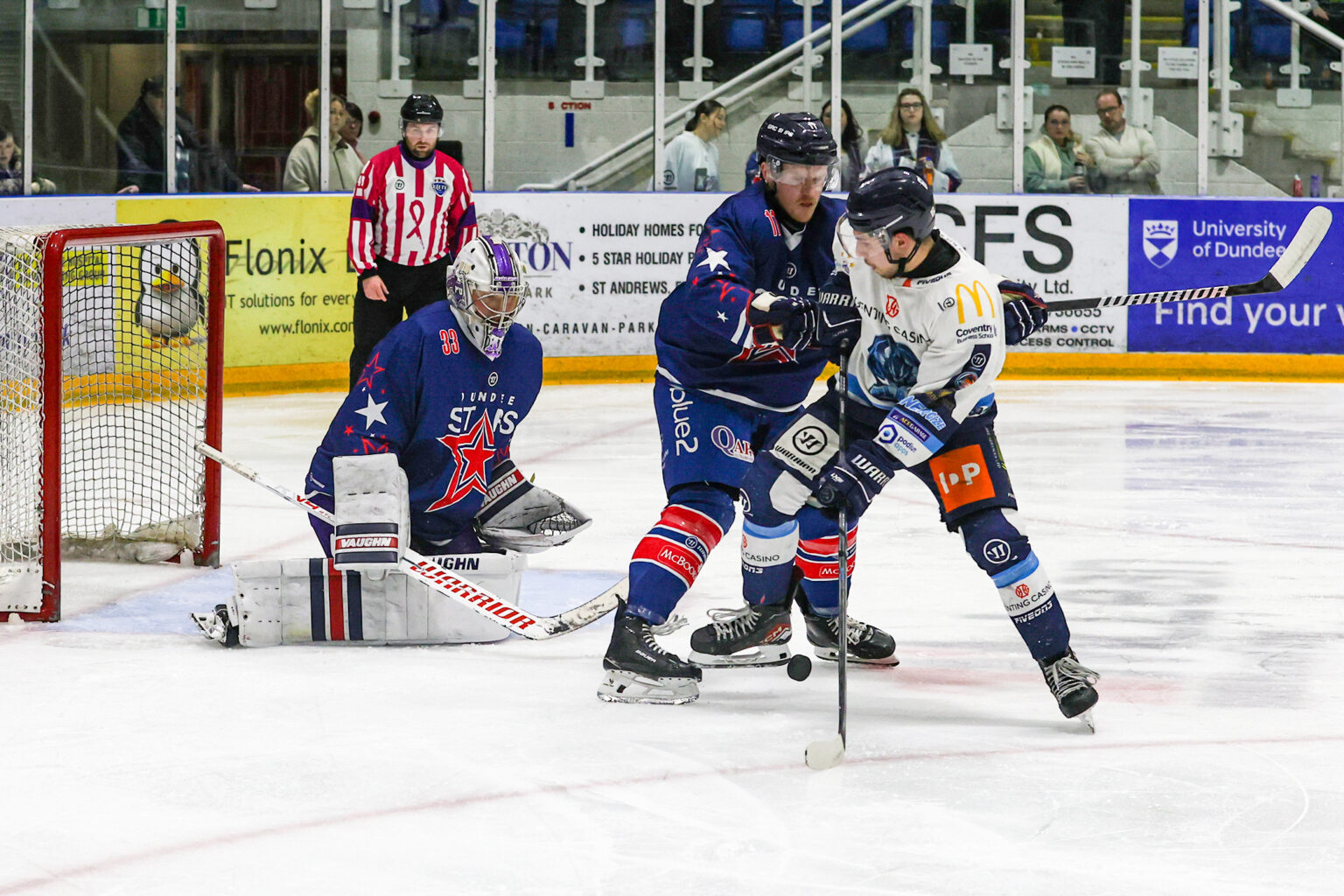 News - Dundee Stars