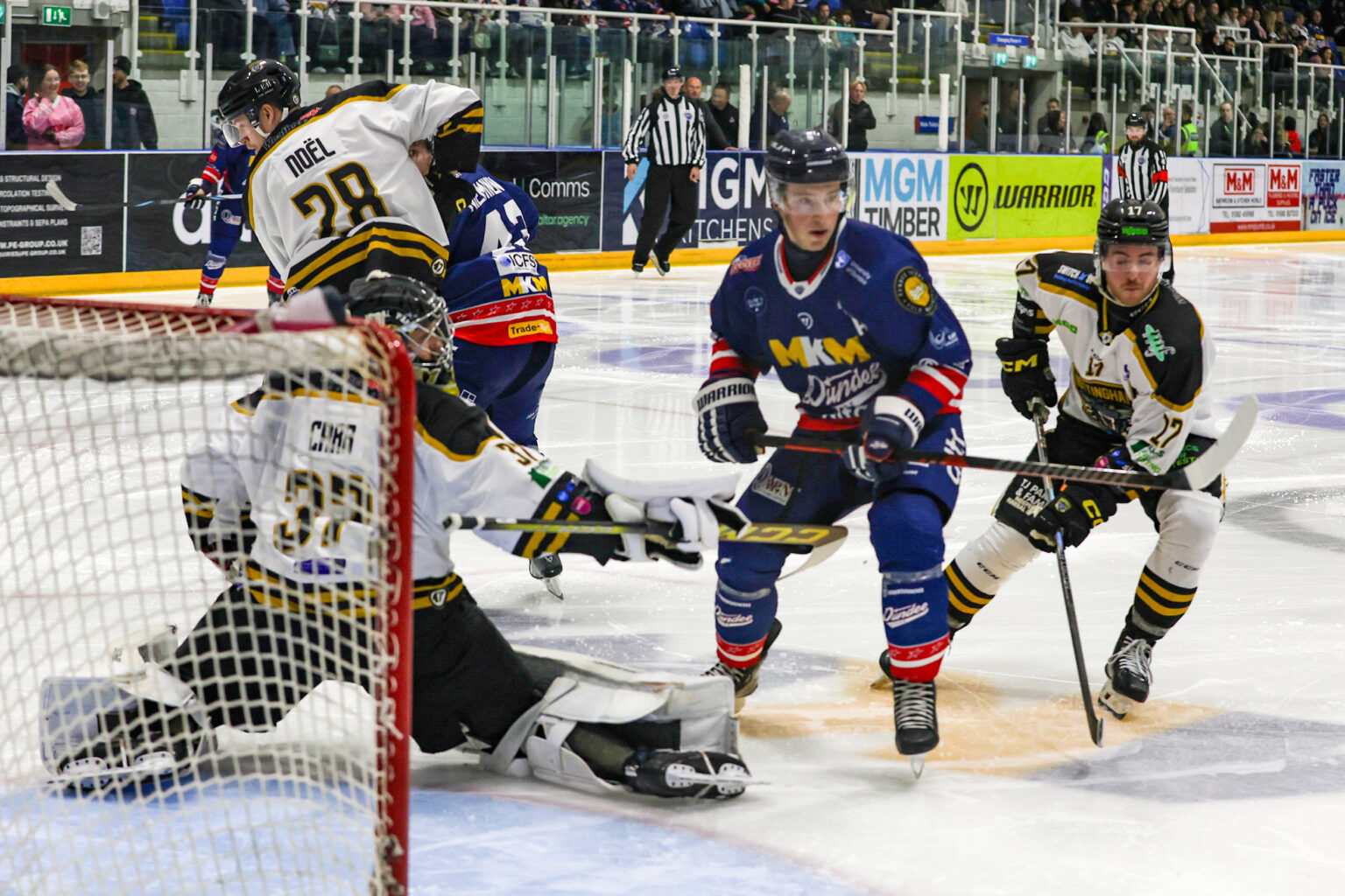 News - Dundee Stars
