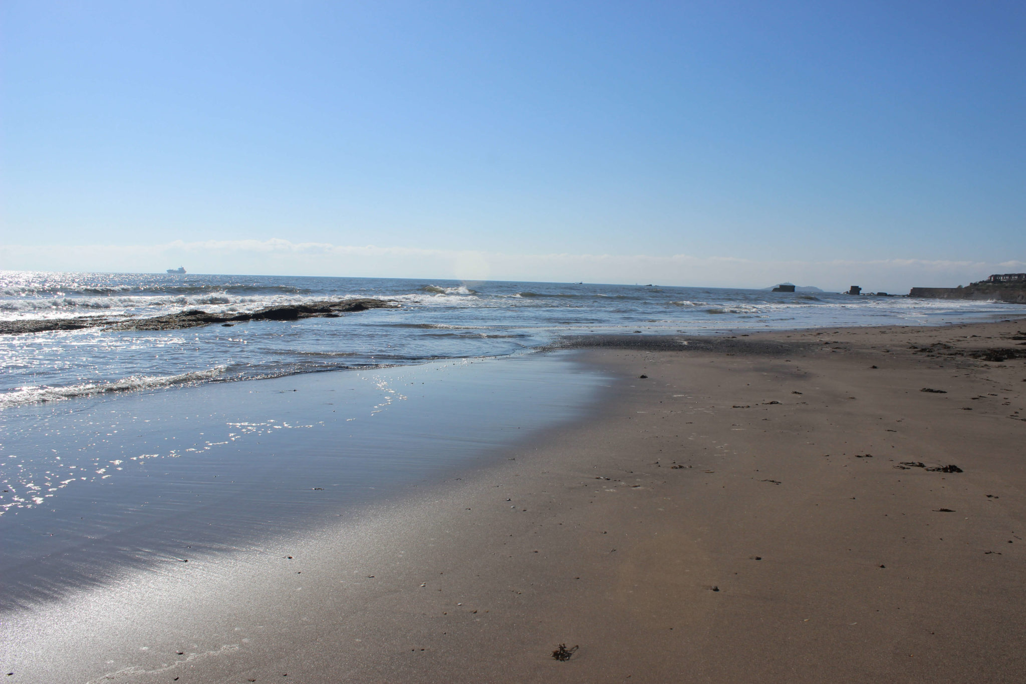 Kirkcaldy Seafield Beach - Fife Coast & Countryside Trust