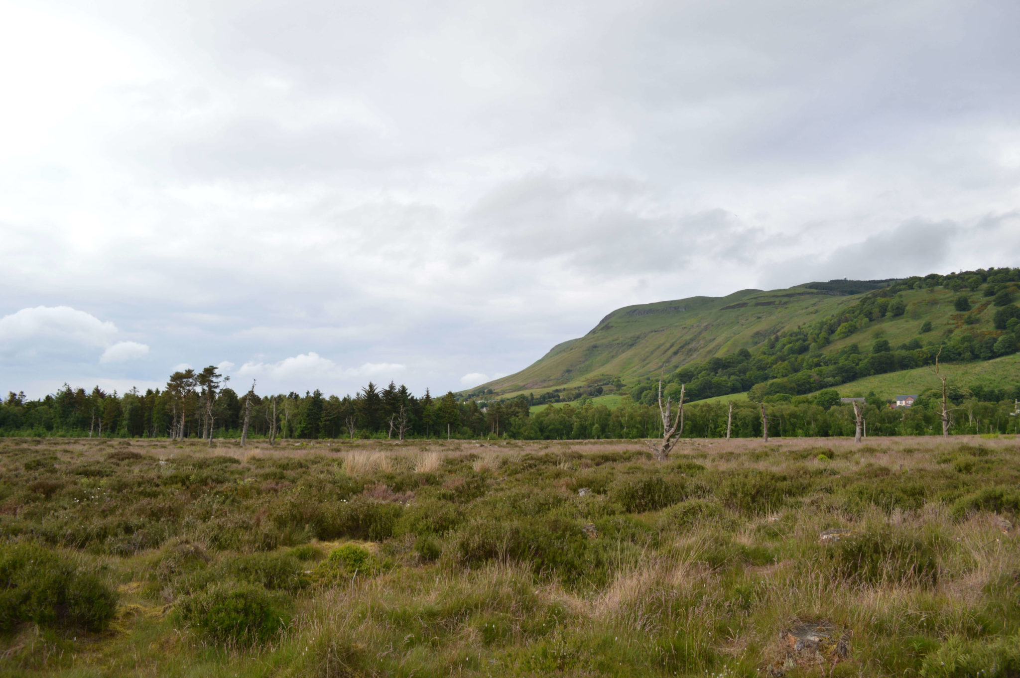 Bishop Hill Loop - Fife Coast & Countryside Trust