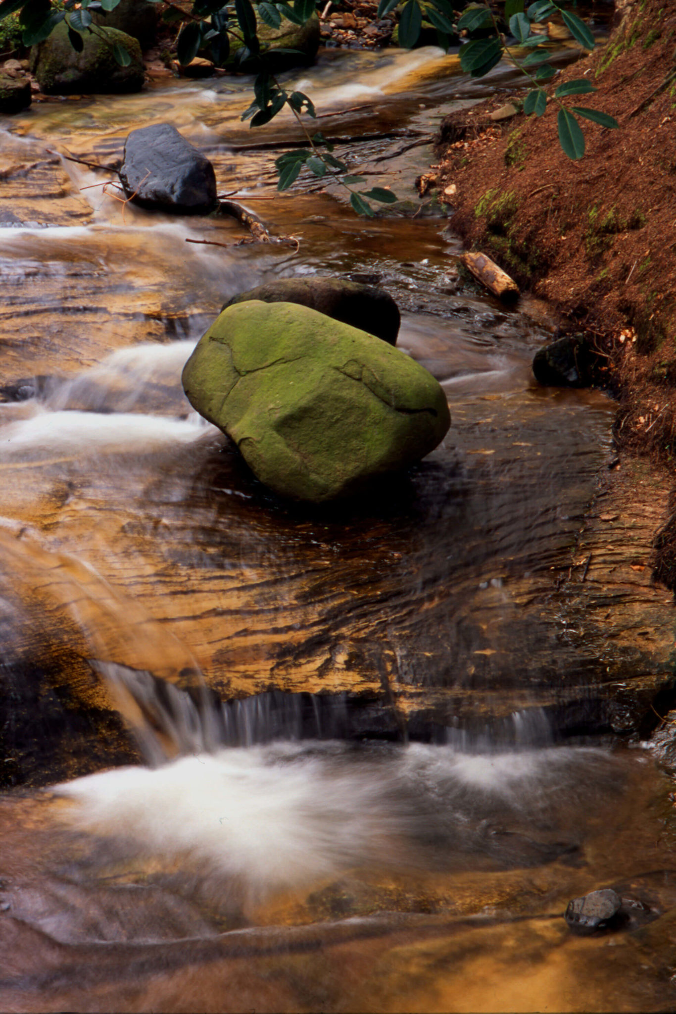 Maspie Den - Falkland Stables - Fife Coast & Countryside Trust