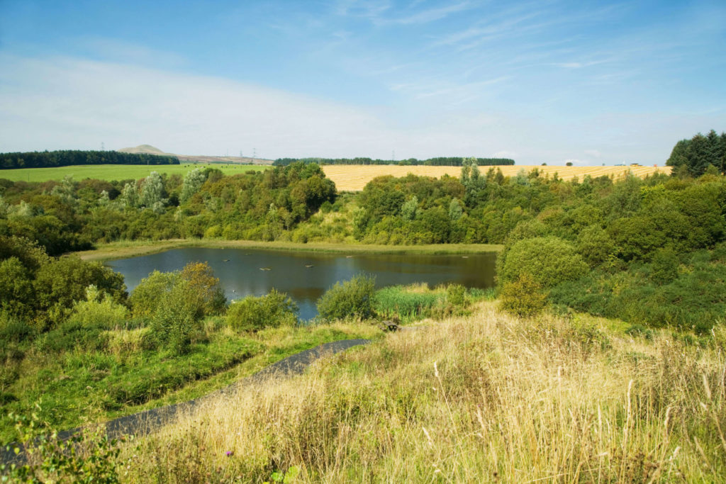 Pitcairn and Coul Den Loop - Fife Coast & Countryside Trust