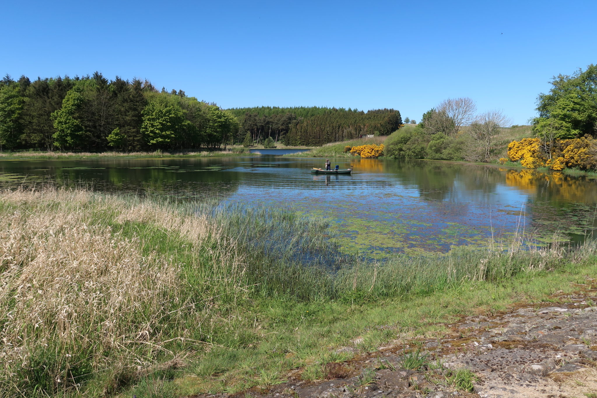 Fife Pilgrim Way - Fife Coast & Countryside Trust