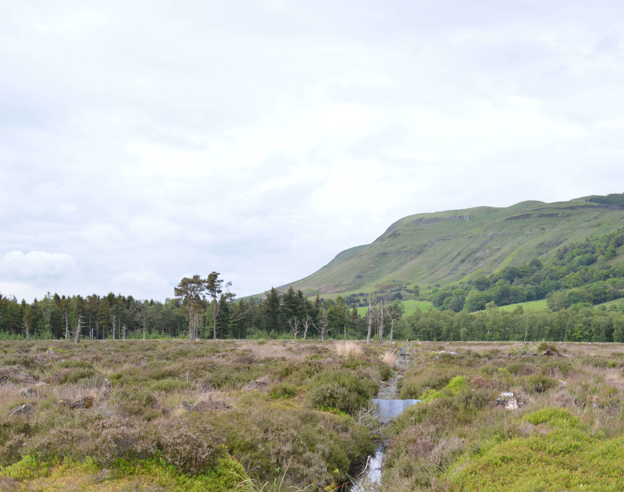Scotlandwell - Fife Coast & Countryside Trust