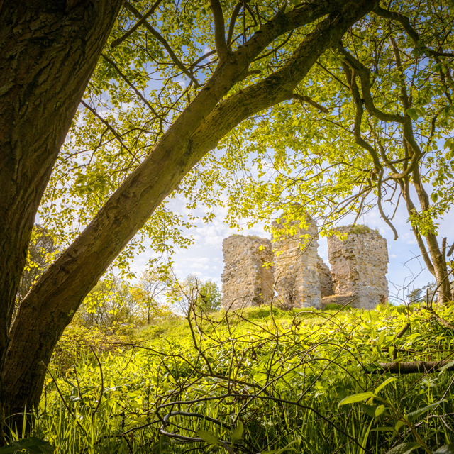 Lochore Meadows to Kinglassie - Fife Coast & Countryside Trust