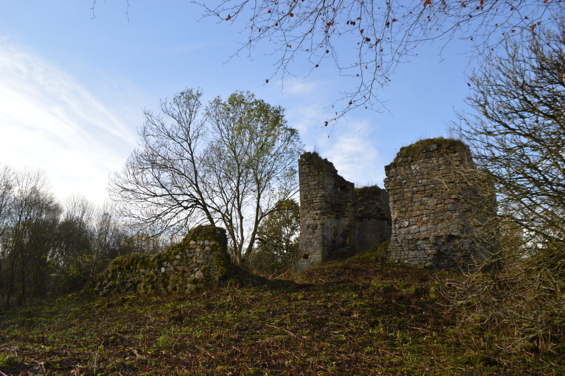 Lochore Castle to Woodend - Fife Coast & Countryside Trust