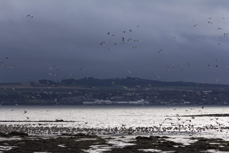 Torryburn to Cairneyhill - Fife Coast & Countryside Trust