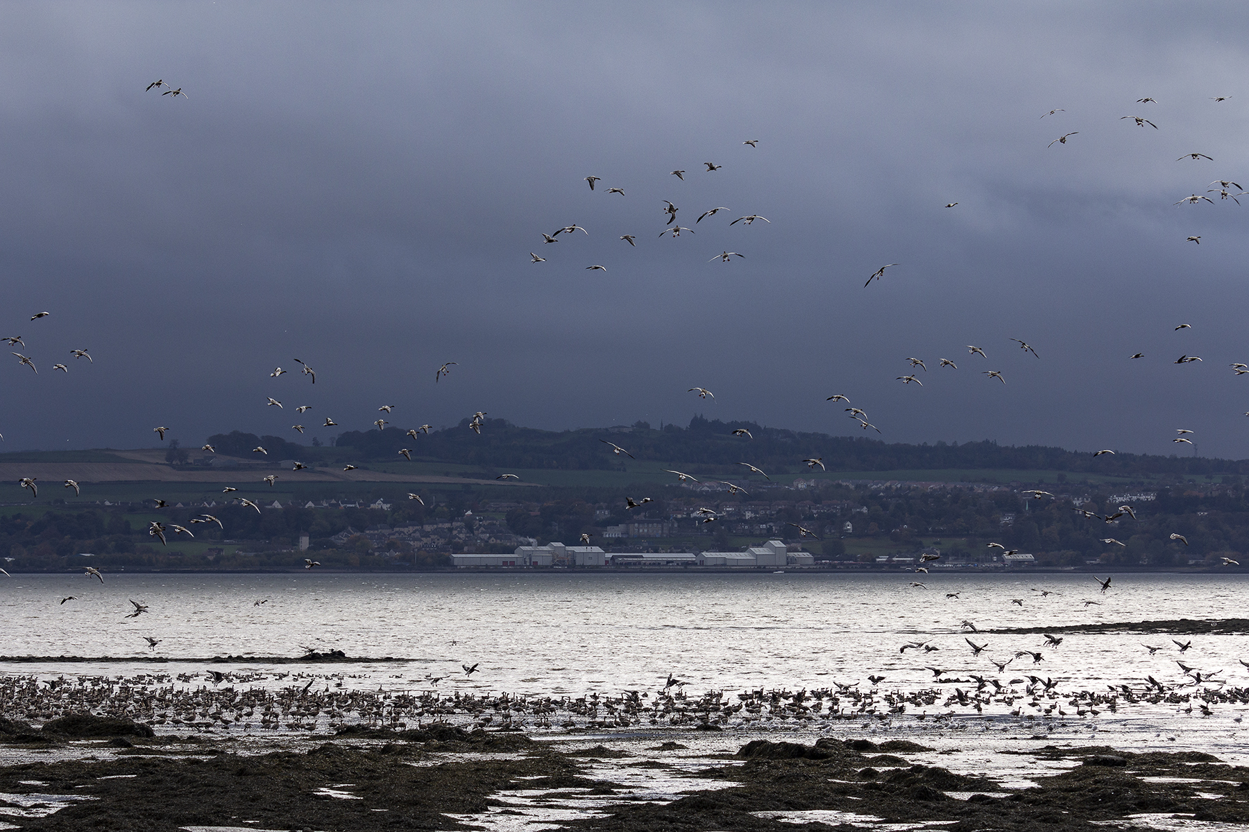 Torryburn to Cairneyhill - Fife Coast & Countryside Trust