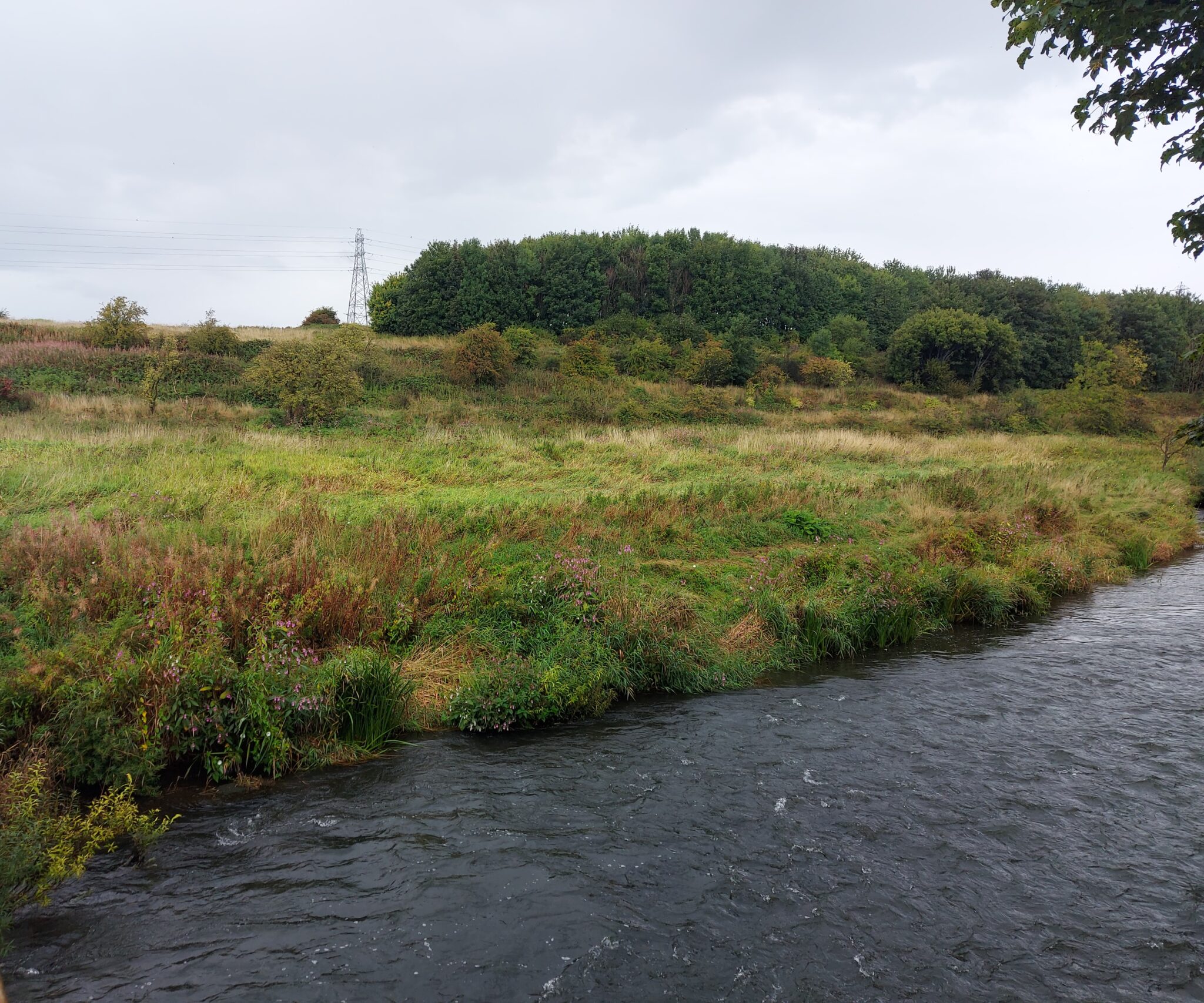 Restoring the River Leven - Fife Coast & Countryside Trust