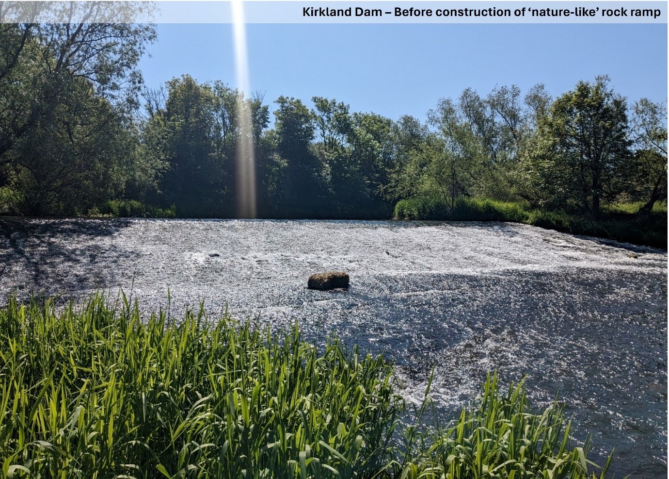 Restoring the River Leven - Fife Coast & Countryside Trust