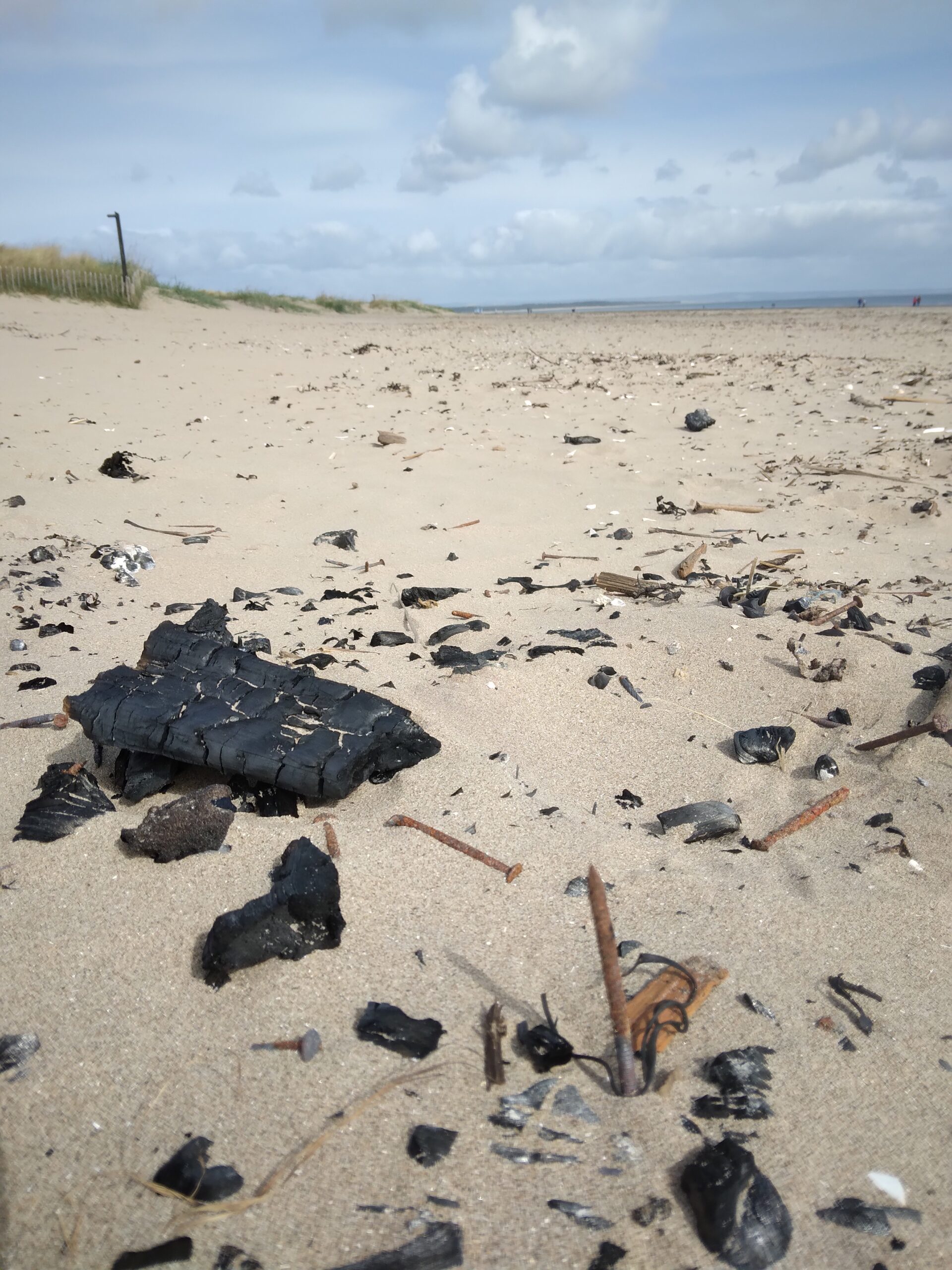 The Burning Issue on Fife's Beaches - Fife Coast & Countryside Trust