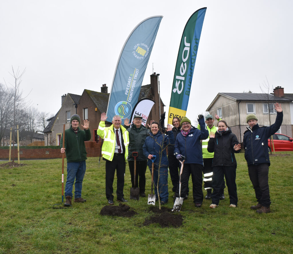 Become a Volunteer Tree Warden and Stand Up for Local Trees - Fife ...