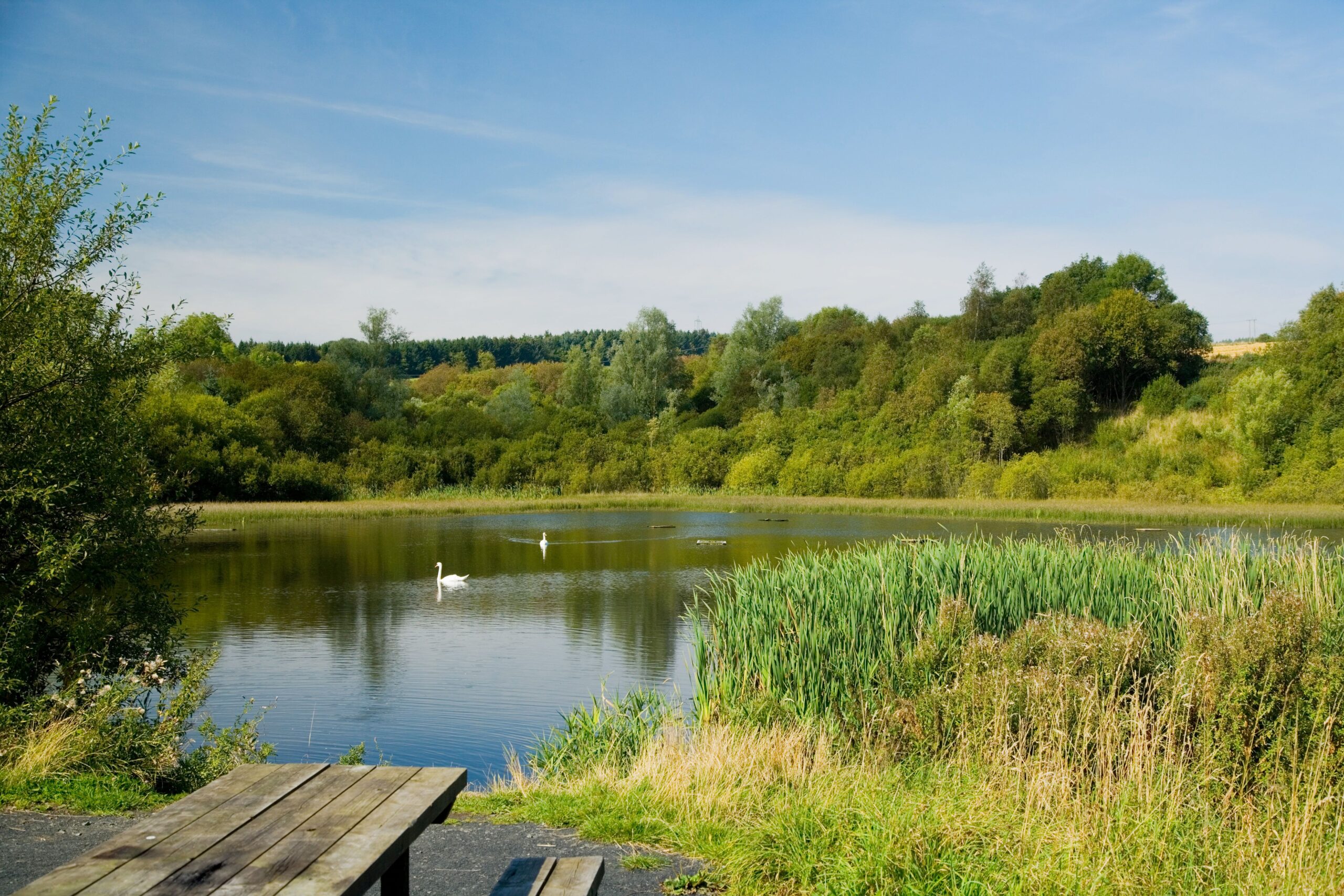 Events Archive - Fife Coast & Countryside Trust