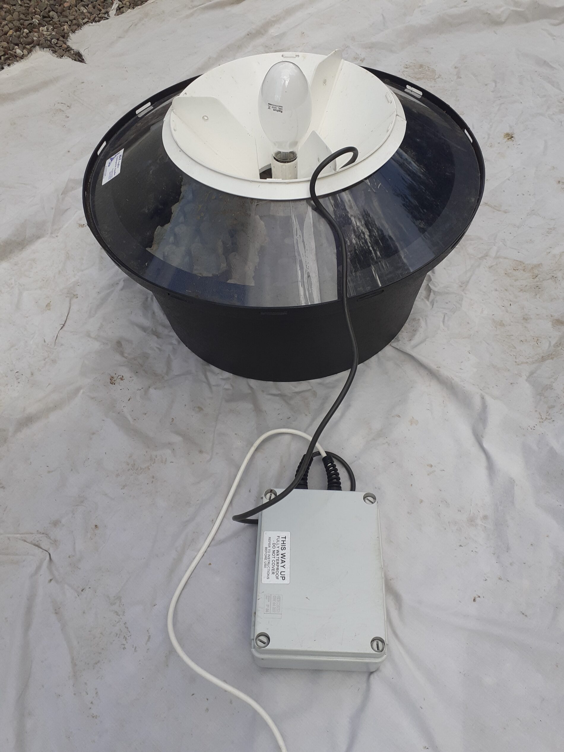 The Tricks Behind the Magic of Moths - Fife Coast & Countryside Trust