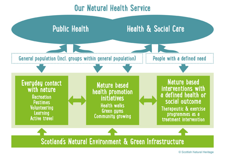 Levenmouth Green Health Partnership - Fife Coast & Countryside Trust