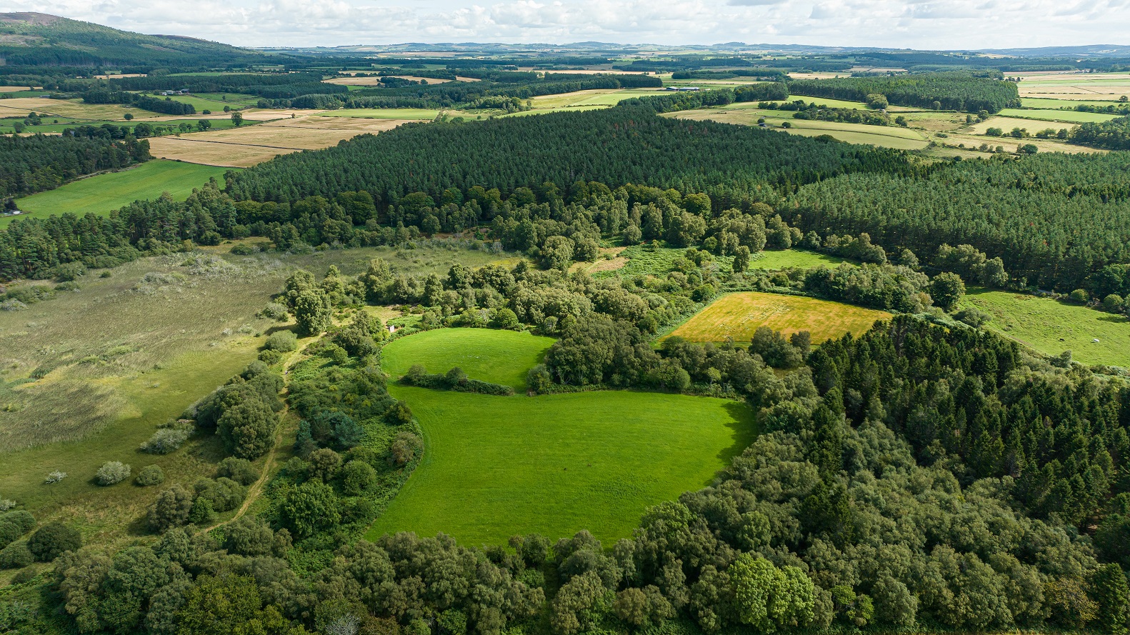 Leys Estate has 1,200 Acres of Forestry - Leys Estate