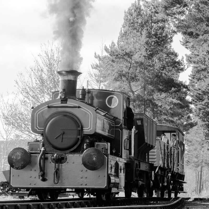 Royal Deeside Railway Preservation Society - Leys Estate