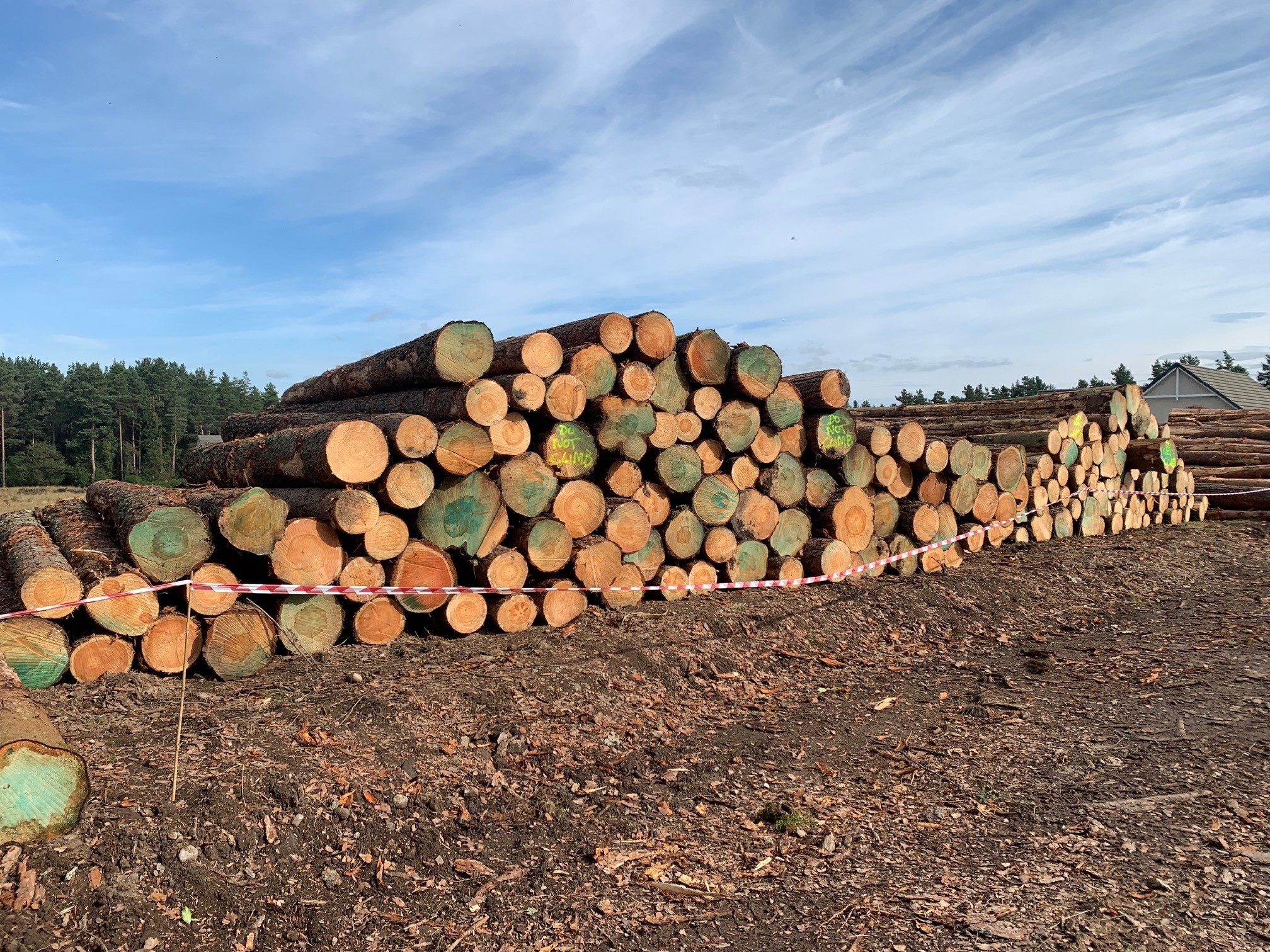 Estate Stories - Timber Stacks At Hill of Banchory - Leys Estate