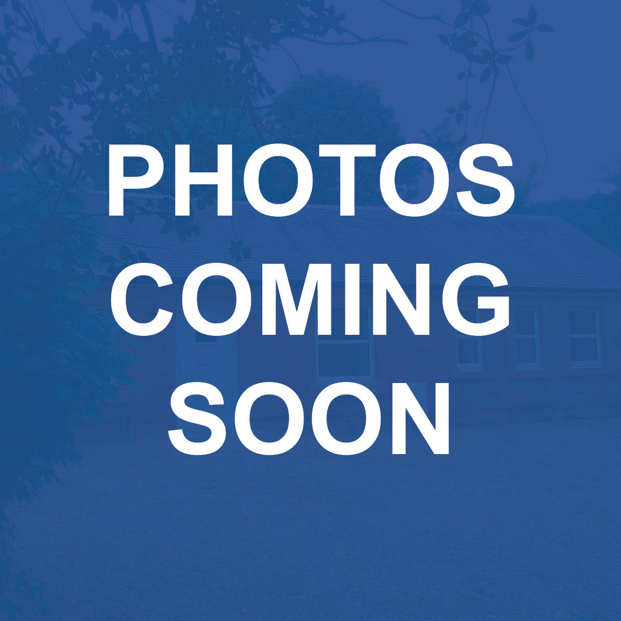 Residential - Photos coming soon - Square - Morris Leslie