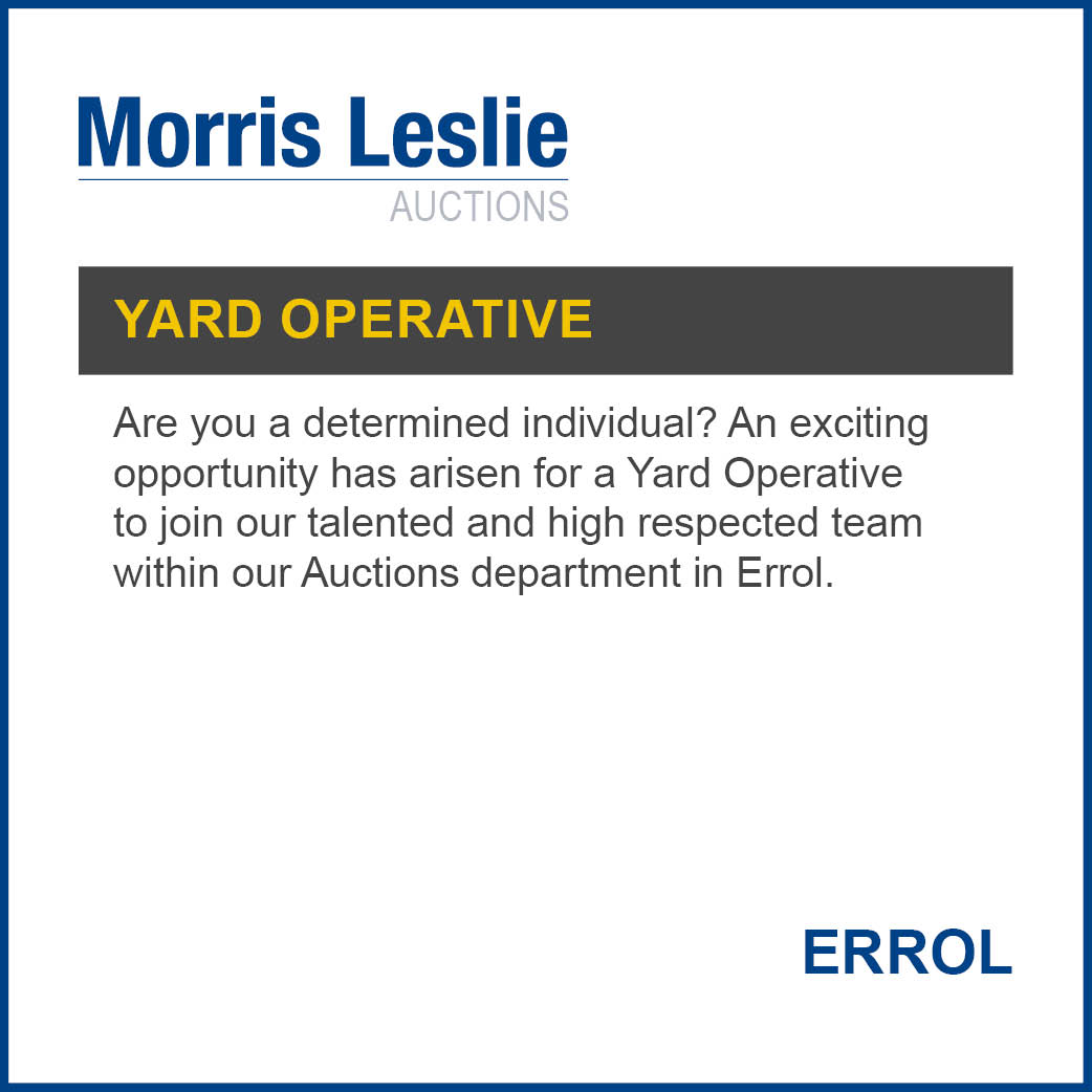 Yard Operative - Errol - Morris Leslie