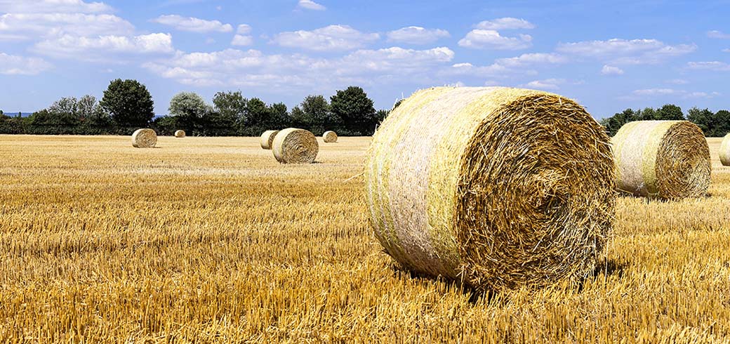 Work For Us - Simon Howie