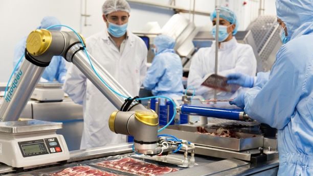 Meat Handling Cobot – SP Automation & Robotics
