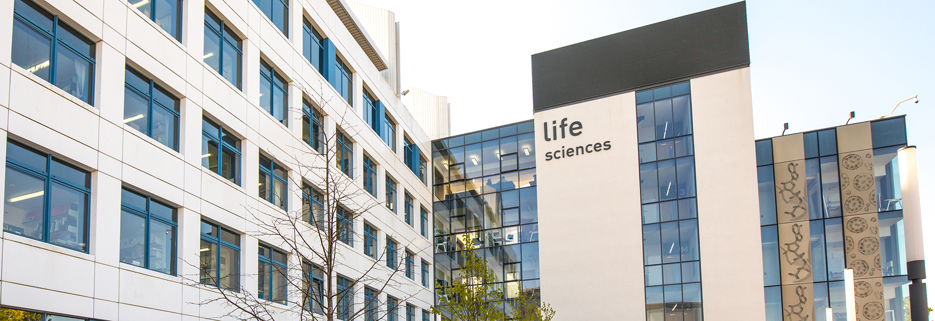 Visiting Dundee - WCAIR