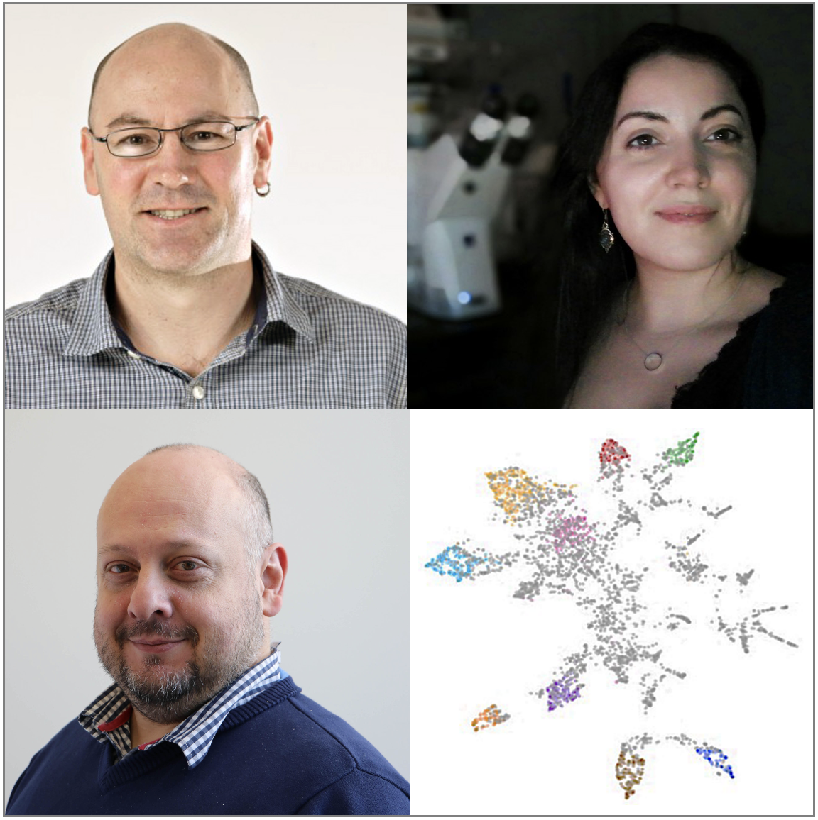 Gene expression control by a bridge between two chromosomes - WCAIR