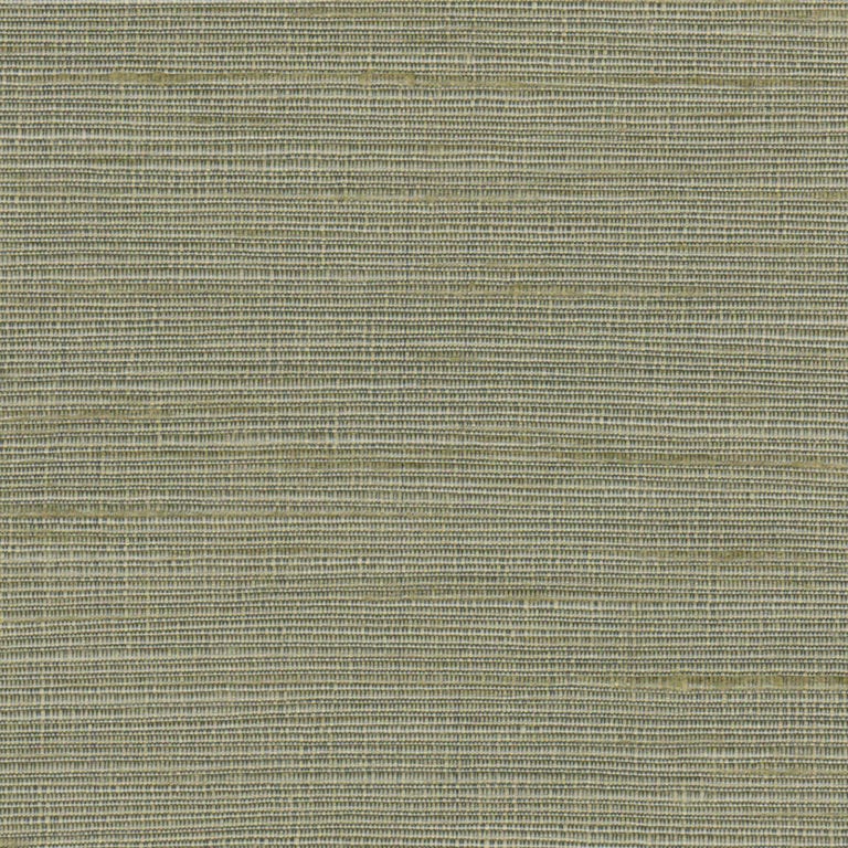 Orion – Collections