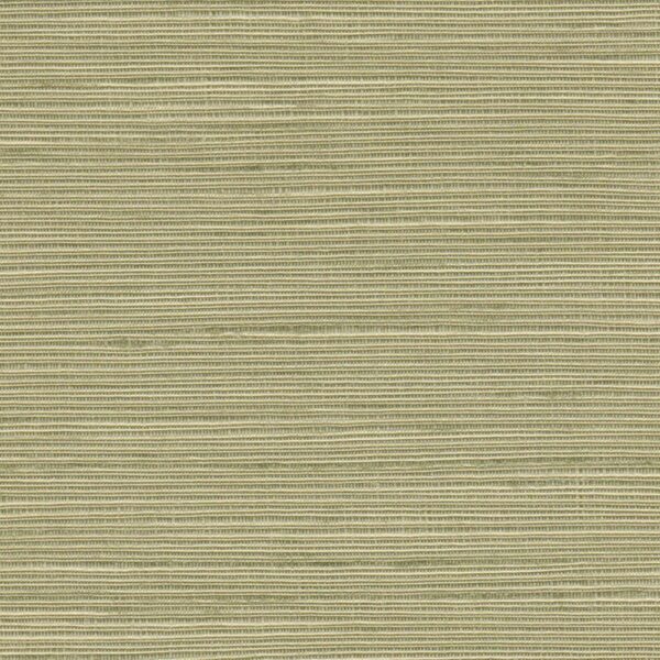 Orion – Collections