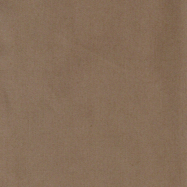 Zion – Collections