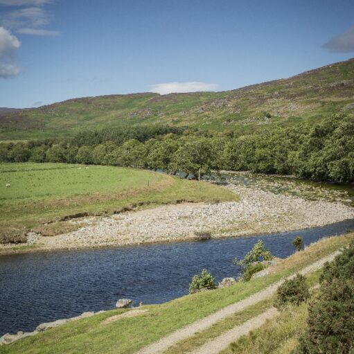 Angus Myths and Legends | Visit Angus