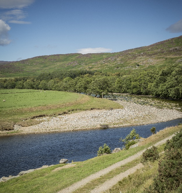 Angus Myths and Legends | Visit Angus