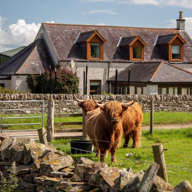 Visit Angus | Explore Scotland’s Scenic East Coast
